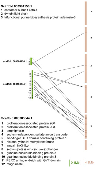 Comparative Gene Mapping as a Tool to Understand the Evolution of Pest ...