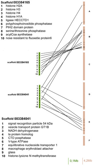 Comparative Gene Mapping as a Tool to Understand the Evolution of Pest ...