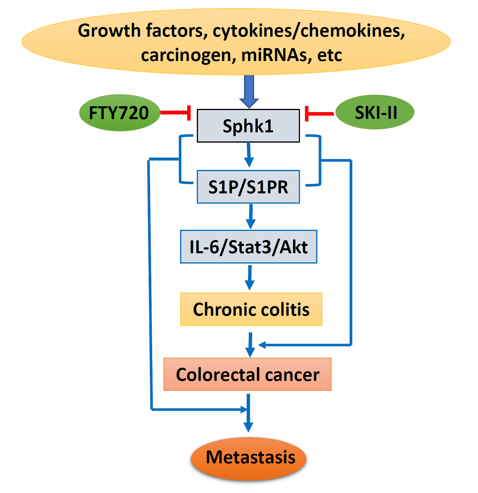 IJMS | Free Full-Text | Sphingosine Kinase 1 and Sphingosine-1 ... IJMS | Free Full-Text | Sphingosine Kinase 1 and Sphingosine-1 ...