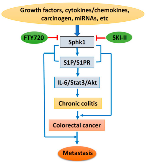 IJMS | Free Full-Text | Sphingosine Kinase 1 and Sphingosine-1 ...