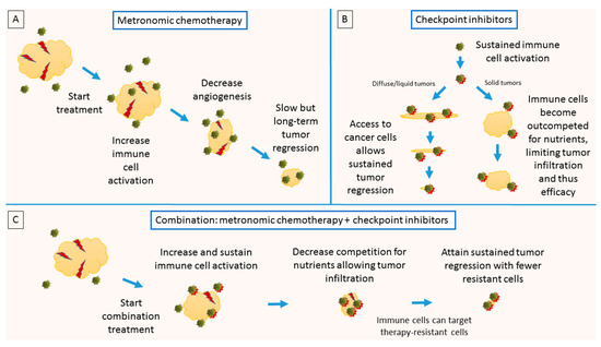 IJMS | Special Issue : Angiogenesis and Anti-Angiogenesis in Oncology ...