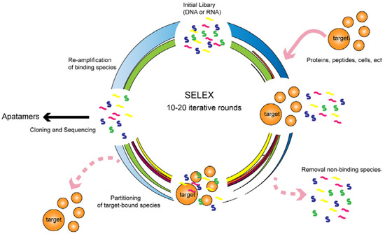 Recent Advances in SELEX Technology and Aptamer Applications in Biomedicine