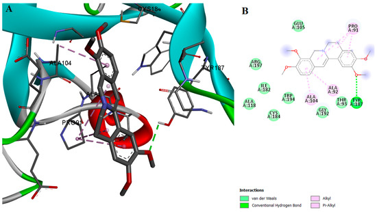 Molecular Docking and Screening Studies of New Natural Sortase A Inhibitors