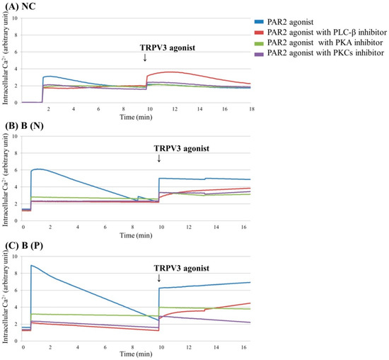 TRPV3 Channel in Keratinocytes in Scars with Post-Burn Pruritus