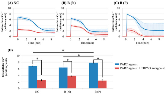 TRPV3 Channel in Keratinocytes in Scars with Post-Burn Pruritus