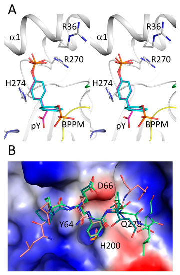 IJMS | Special Issue : Drug-Protein Interactions and Mechanisms of ...