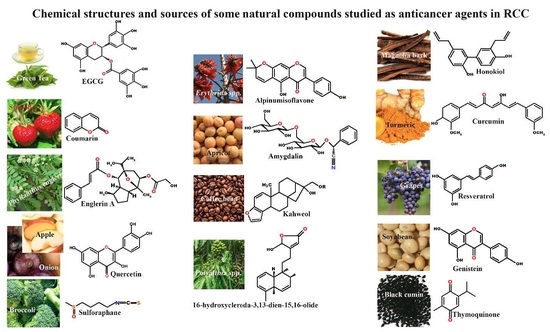 IJMS | Free Full-Text | The Role of Compounds Derived from Natural ...