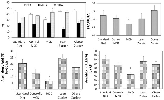 IJMS | Free Full-Text | Liver Graft Susceptibility during Static Cold ...