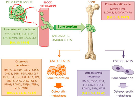 IJMS | Special Issue : Bone Metastasis: Pathophysiology and Molecular ...