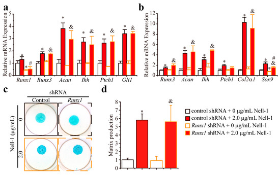 Nfatc1 Is a Functional Transcriptional Factor Mediating Nell-1-Induced Runx3 Upregulation in ...