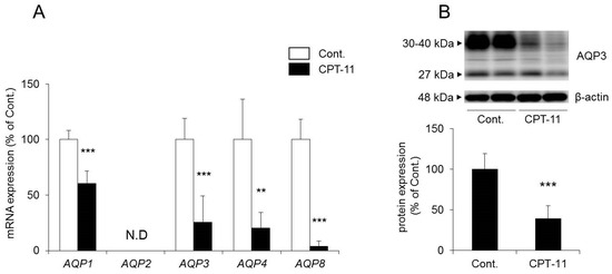CPT-11-Induced Delayed Diarrhea Develops via Reduced Aquaporin-3 ...