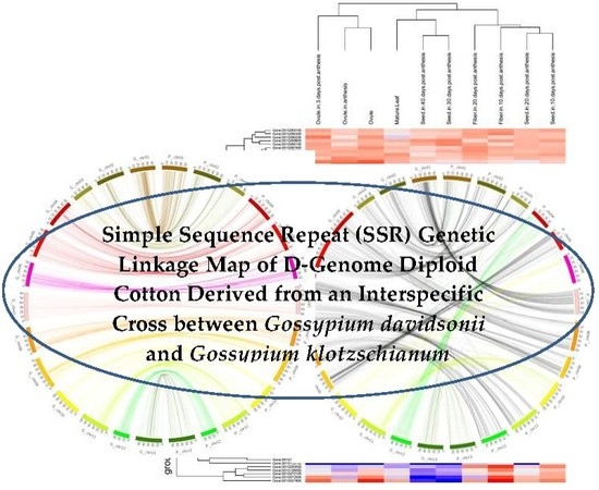 Simple Genetic Map