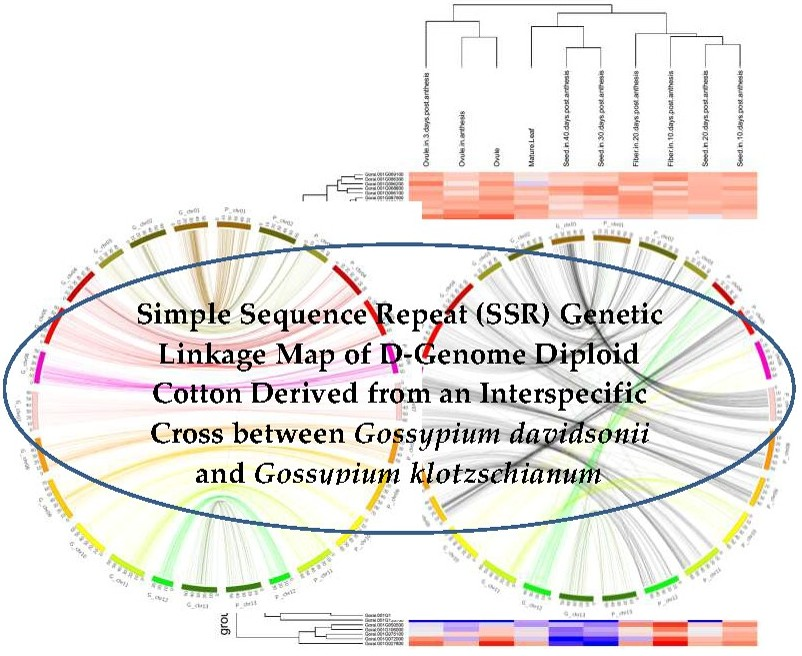 IJMS | Free Full-Text | Simple Sequence Repeat (SSR) Genetic Linkage ...