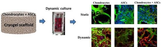 Ijms Free Fulltext The Effects Of Tio2 Nanoparticles Ijms Free Fulltext The Effects Of Tio2 Nanoparticles