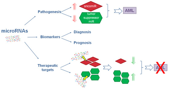 IJMS | Free Full-Text | MicroRNAs as New Biomarkers for Diagnosis and Prognosis, and as ...