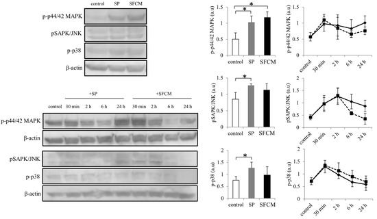 Role of Corneal Stromal Cells on Epithelial Cell Function during Wound ...