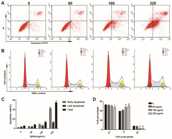 IJMS | Free Full-Text | Silkworm Pupa Protein Hydrolysate Induces Mitochondria-Dependent ...