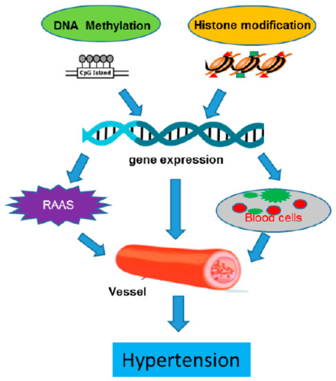 DNA Methylation and Histone Modification in Hypertension