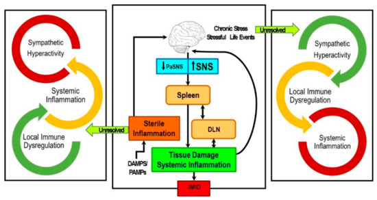 Sympathetic Nerve Hyperactivity in the Spleen: Causal for Nonpathogenic ...