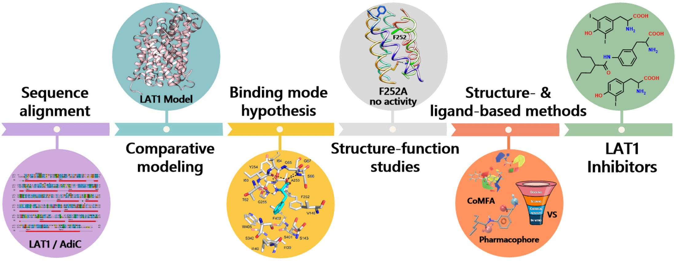 IJMS | Free Full-Text | Insights into the Structure, Function, and ...