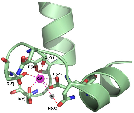 Towards Understanding Plant Calcium Signaling through Calmodulin-Like ...
