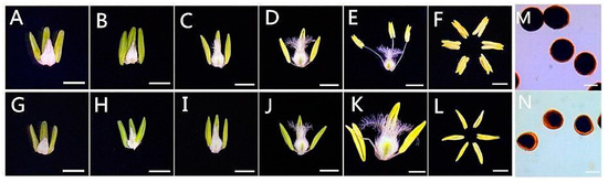 IJMS | Free Full-Text | iTRAQ-Based Proteomics Analyses of Sterile ...