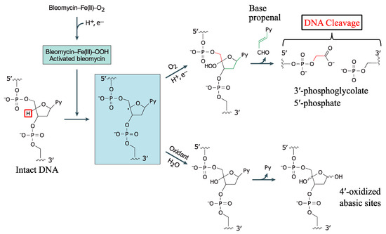 IJMS | Free Full-Text | The Interaction of the Metallo-Glycopeptide ...