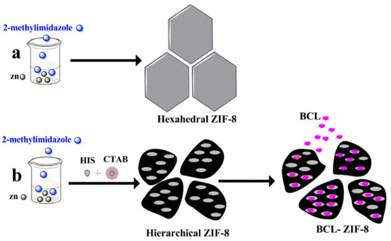 Hierarchical ZIF-8 toward Immobilizing Burkholderia cepacia Lipase for Application in Biodiesel ...