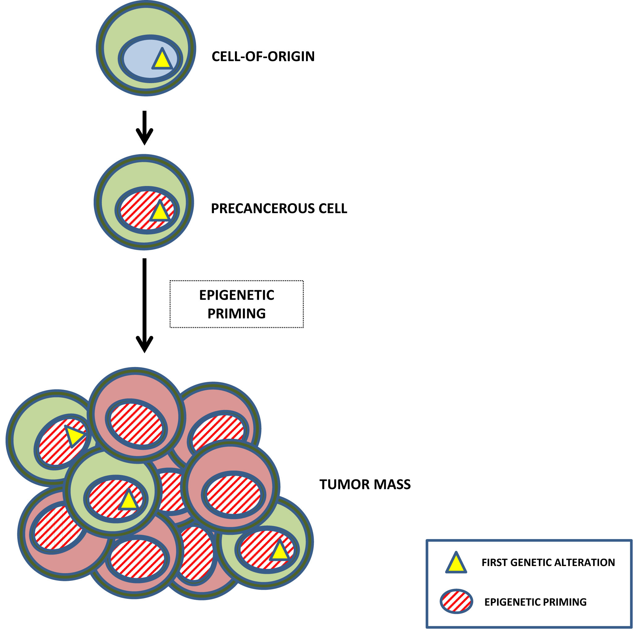 IJMS | Free Full-Text | The Making of Leukemia