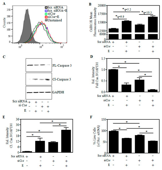 Role for Cystathionine ? Lyase (CSE) in an Ethanol (E)-Induced Lesion ...