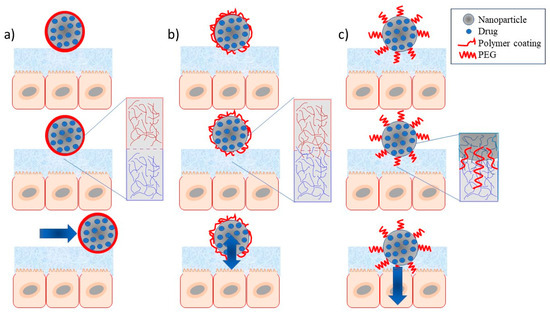 Approaches in Polymeric Nanoparticles for Vaginal Drug Delivery: A ...