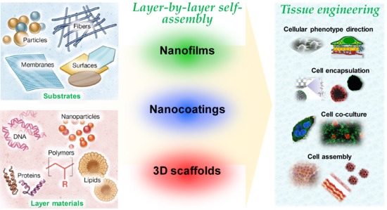 IJMS | Free Full-Text | Biomimetic Layer-by-Layer Self-Assembly of Nanofilms, Nanocoatings, and ...