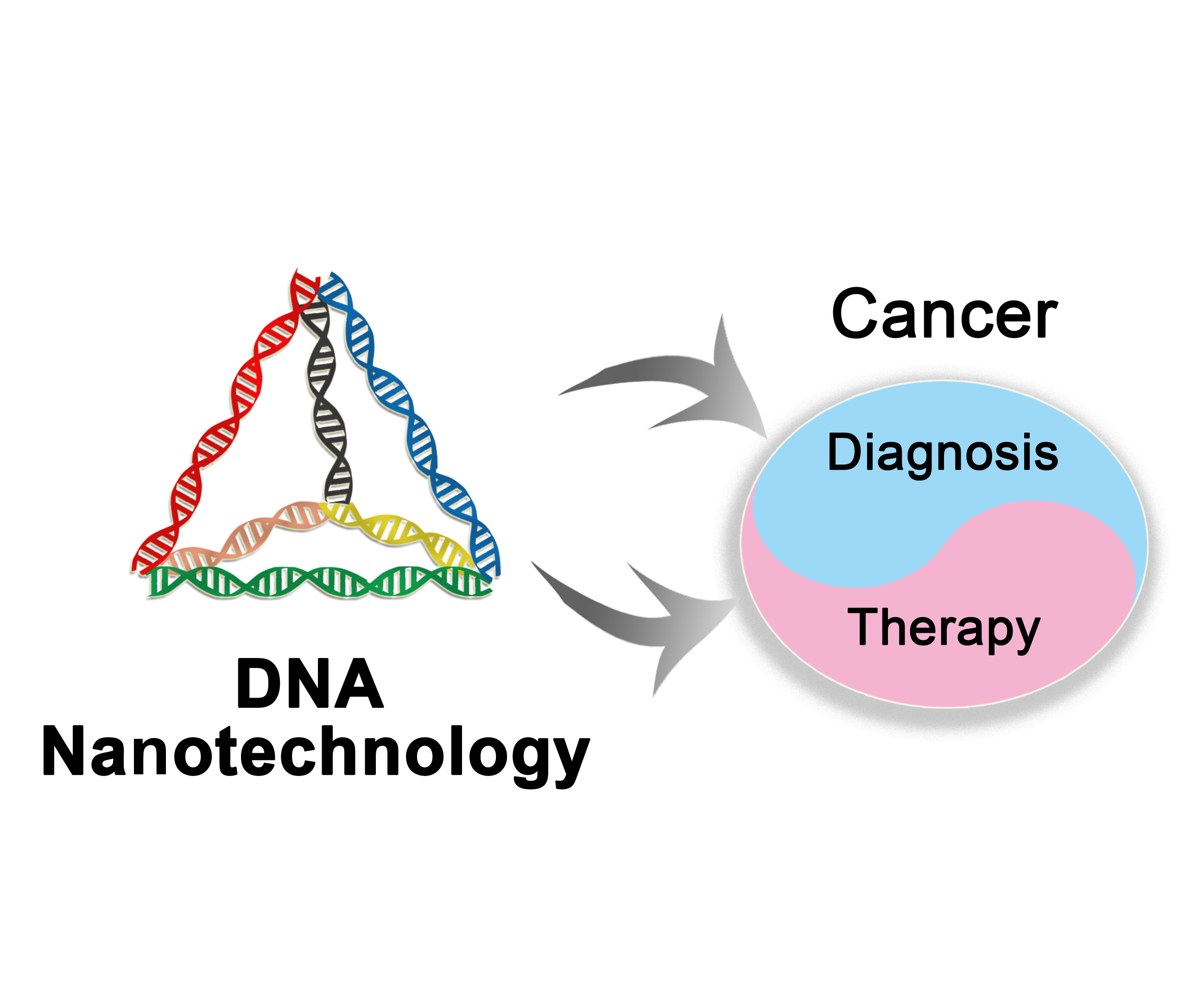 IJMS | Free Full-Text | DNA Nanotechnology for Cancer Diagnosis and Therapy