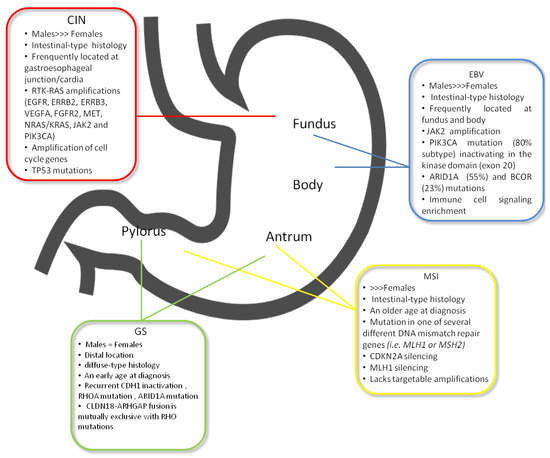 Proposed Molecular and miRNA Classification of Gastric Cancer