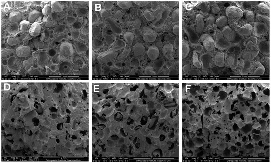 The “Magnesium Sacrifice” Strategy Enables PMMA Bone Cement Partial ...