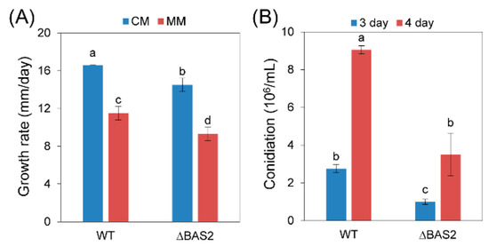 BAS2 Is Required for Conidiation and Pathogenicity of Colletotrichum ...