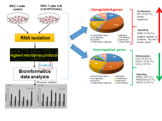 IJMS | Free Full-Text | In Vitro Transcriptome Response to a Mixture of ...