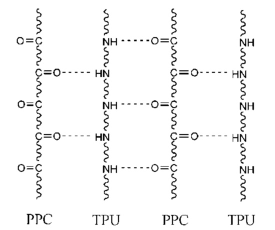 Biodegradable and Toughened Composite of Poly(Propylene Carbonate ...