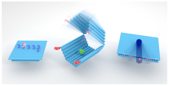 Dynamic DNA Origami Devices: from Strand-Displacement Reactions to ...