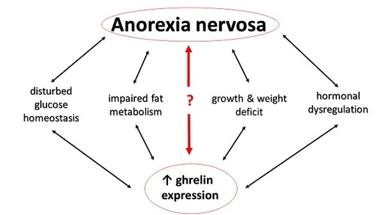 IJMS | Free Full-Text | The Role of Ghrelin in Anorexia Nervosa