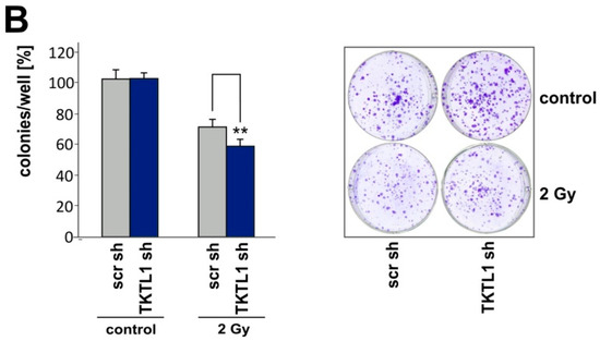 Gene Suppression of Transketolase-Like Protein 1 (TKTL1) Sensitizes ...
