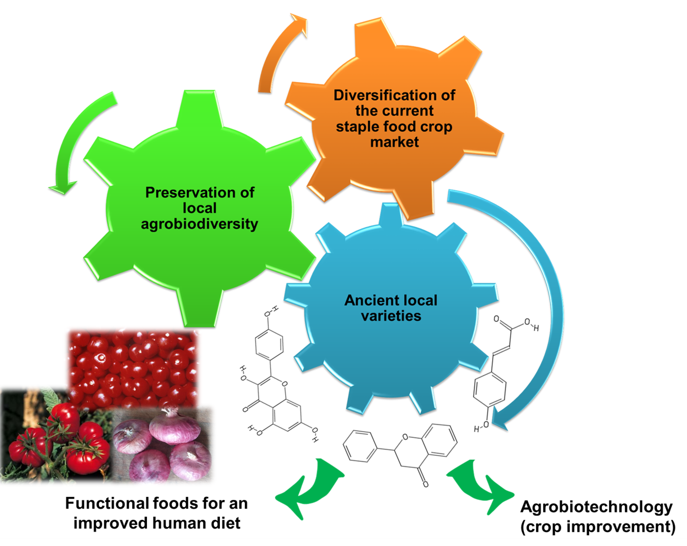 IJMS | Free Full-Text | Agrobiotechnology Goes Wild: Ancient Local ...