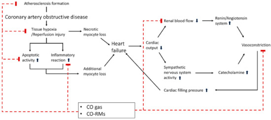 Therapeutic Aspects of Carbon Monoxide in Cardiovascular Disease