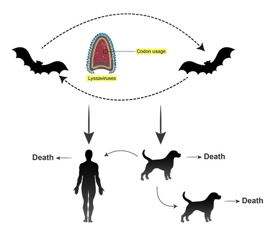 IJMS | Special Issue : Expanding and Reprogramming the Genetic Code