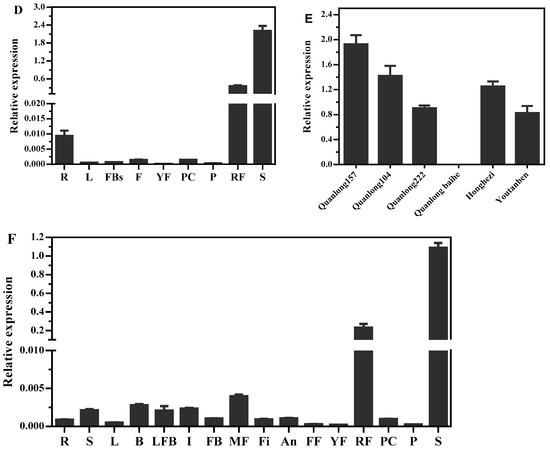 Seed-Specific Gene MOTHER of FT and TFL1 (MFT) Involved in ...