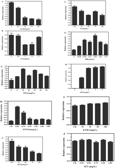 Seed-Specific Gene MOTHER of FT and TFL1 (MFT) Involved in ...