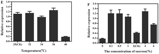 Seed-Specific Gene MOTHER of FT and TFL1 (MFT) Involved in ...