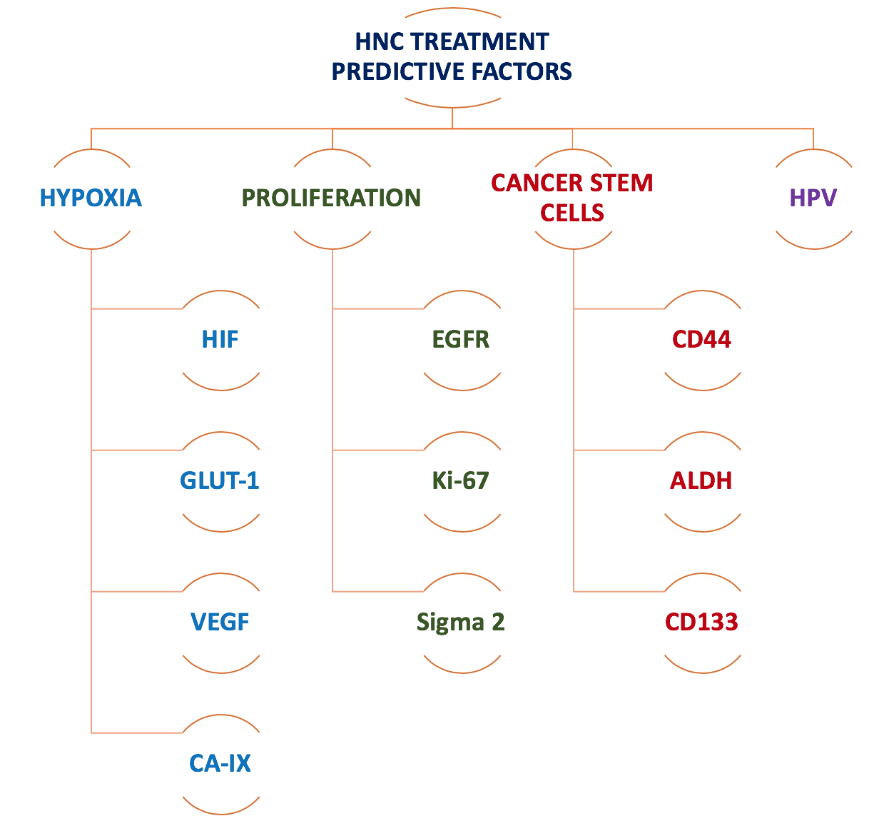 IJMS | Free Full-Text | The Promise of Novel Biomarkers for Head and ...