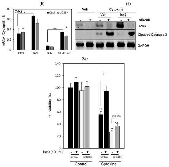 IJMS | Free Full-Text | Isx9 Regulates Calbindin D28K Expression in ...