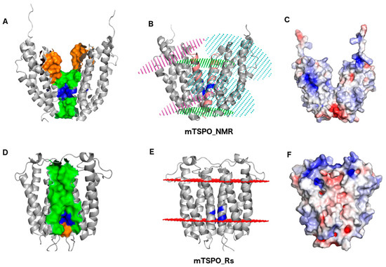 IJMS | Special Issue : Translocator Protein (TSPO) in Drug Delivery and ...